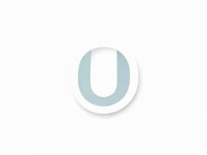 Alt Code U Umlaut