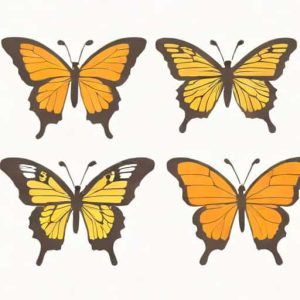Difference Between Breaststroke And Butterfly